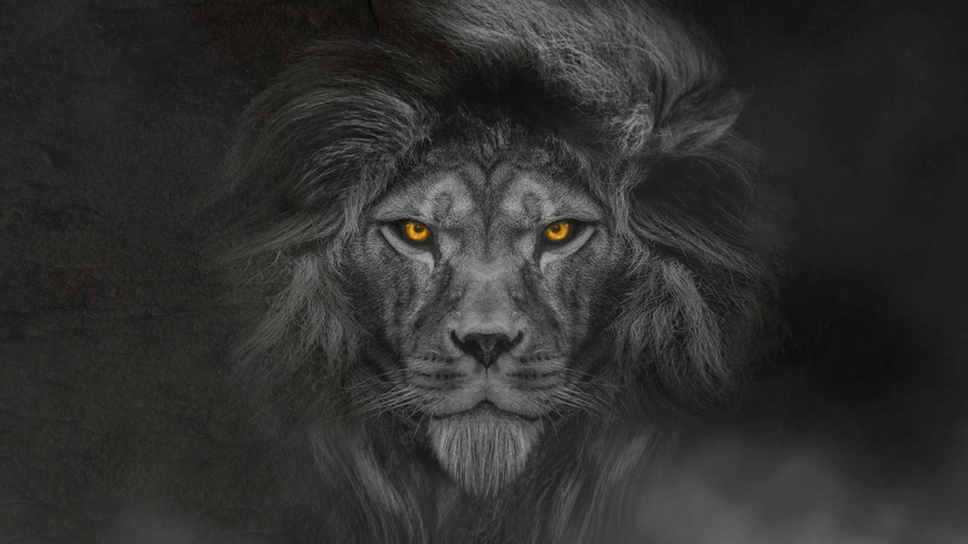 The Daniel Puzzle - Mariners Church