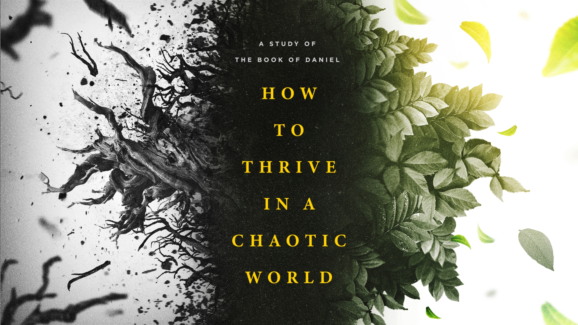 How to Thrive in a Chaotic World - Mariners Church