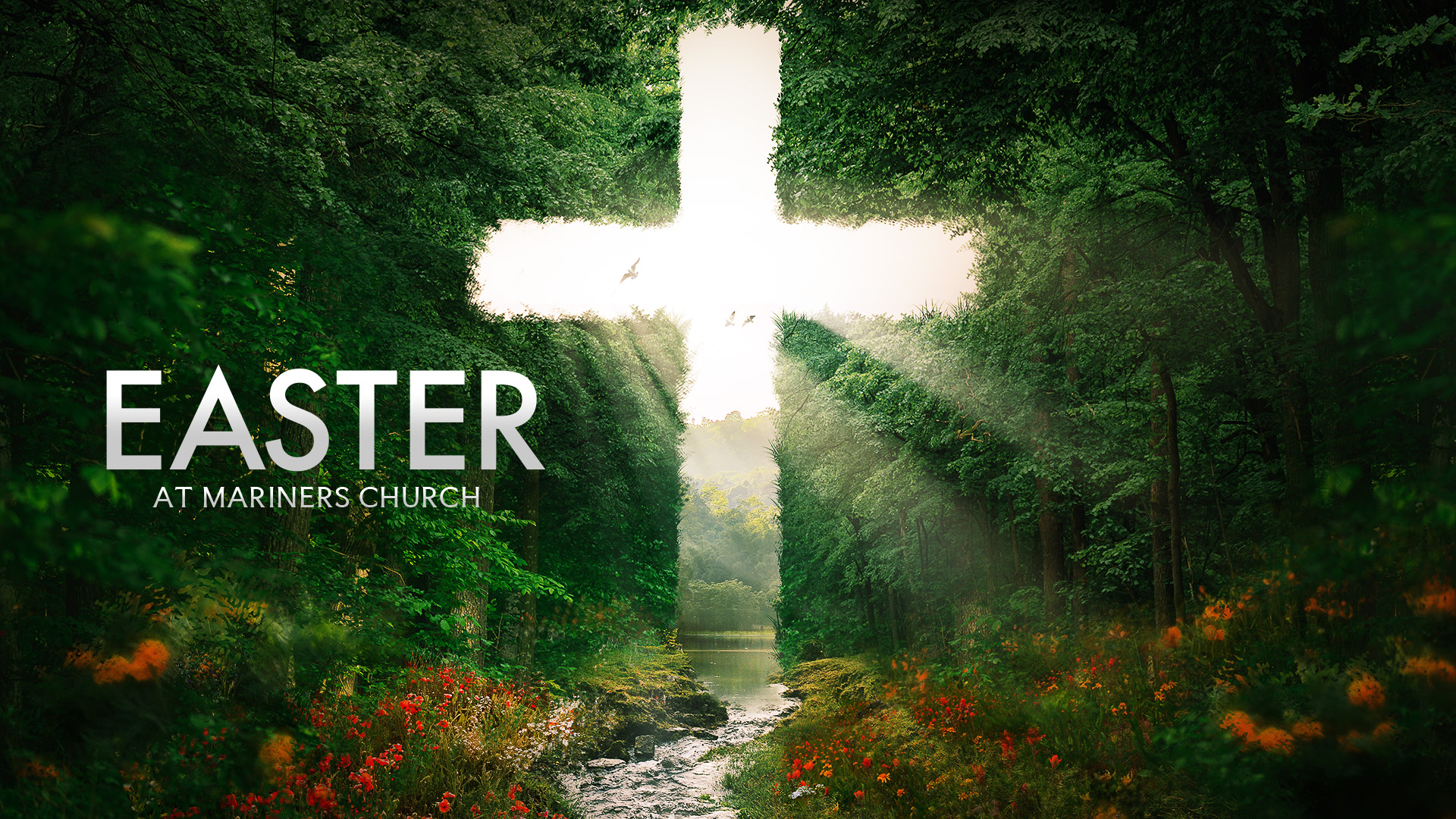 Mariners Church - Irvine